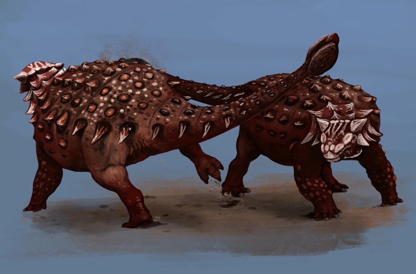 Where did all the tail clubs go? | pseudoplocephalus